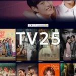 TV25 tv25.co 무료 TV 다시보기 비바티비 대체 사이트